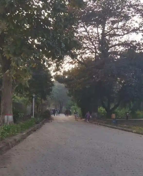 The Doctrine of God – From Theism to Post-Theistic Algorithms